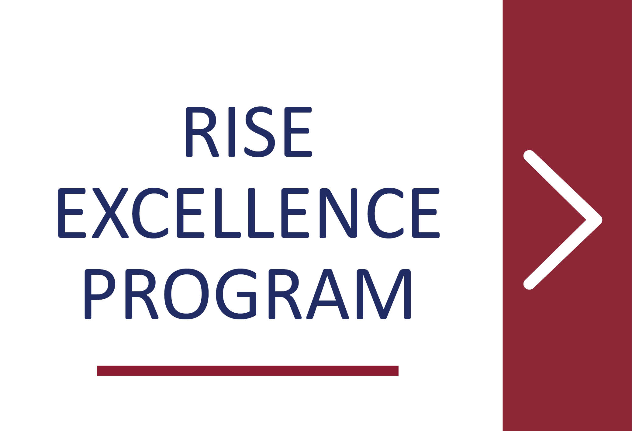 RISE Academic Excellence Program
